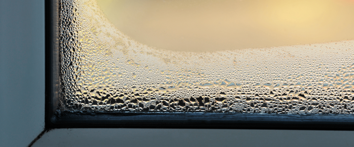 Window Seal Failure vs. Condensation on Windows